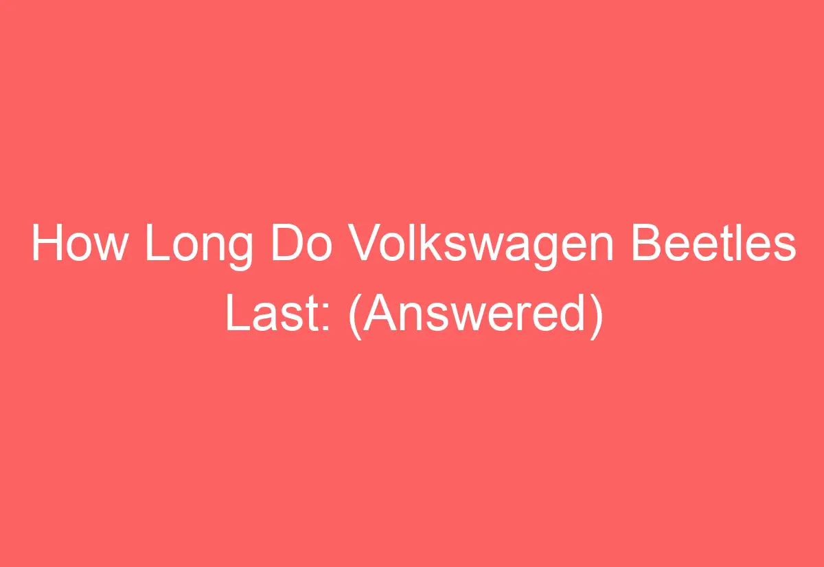 How Long Do Volkswagen Beetles Last: (Answered) - AutomotiveGlory